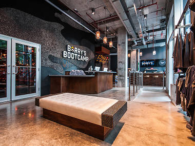 15 Best Gyms in Miami to Get You Fit and Healthy in 2024