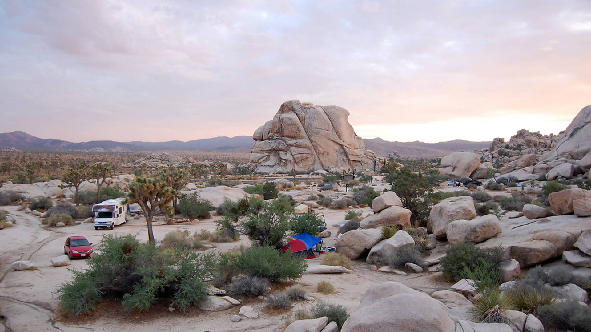 Joshua Tree camping guide for desert adventurers