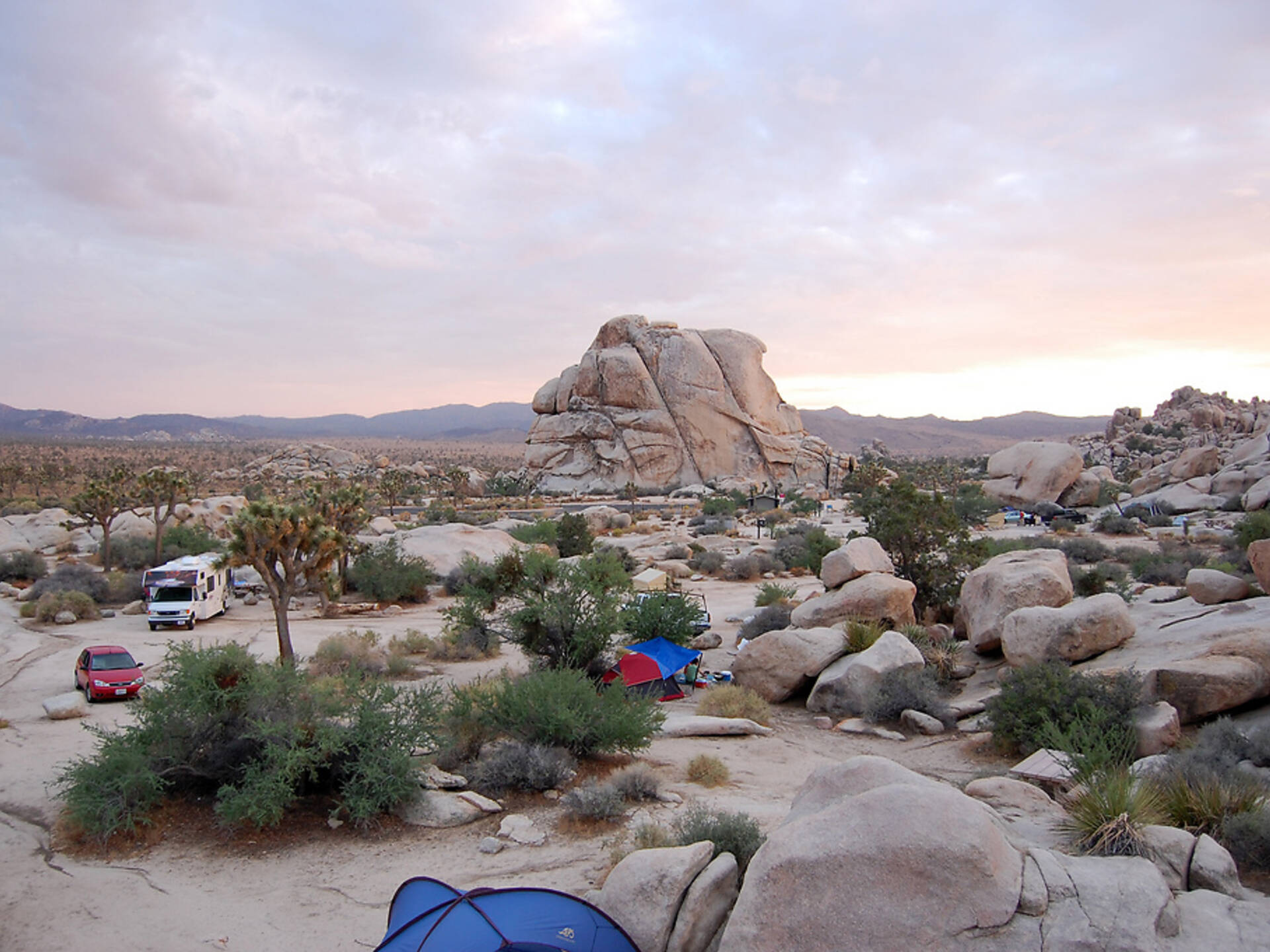 Joshua Tree camping guide for desert adventurers