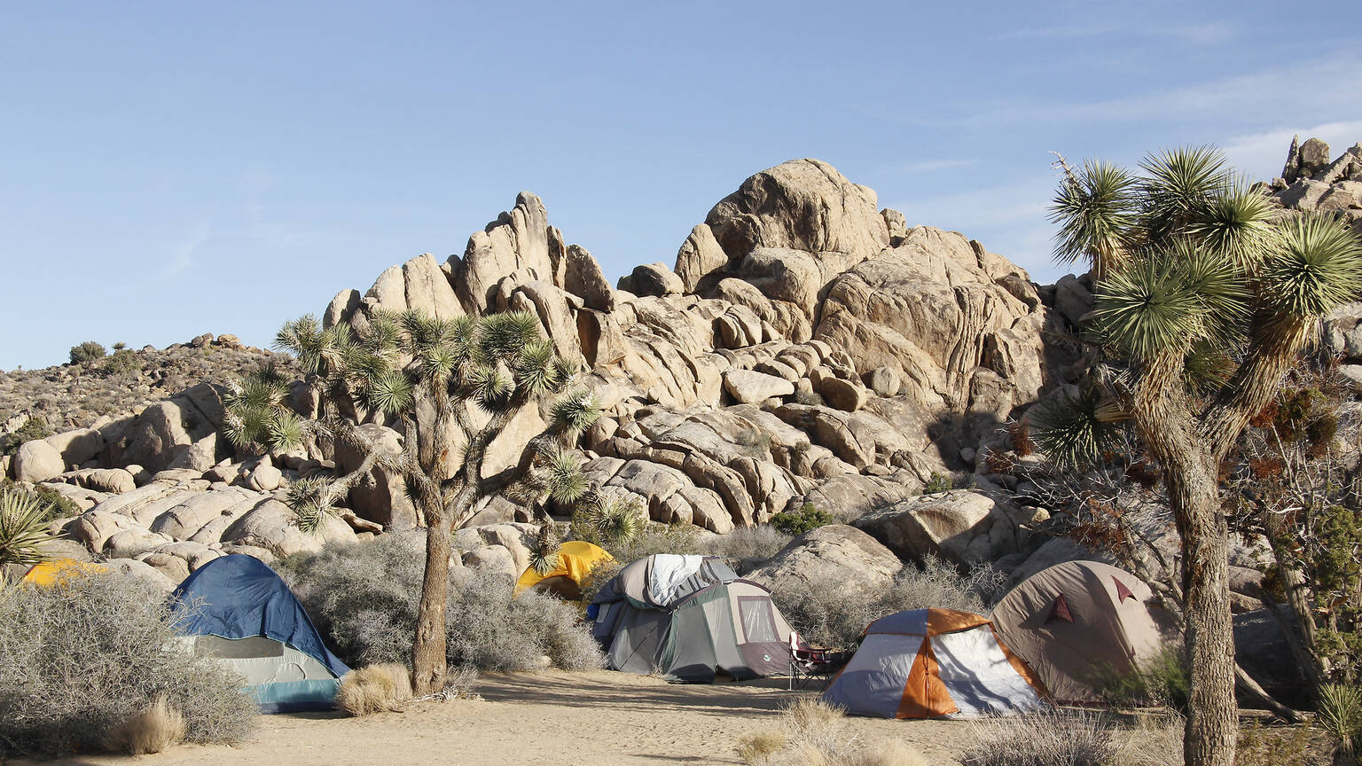Joshua Tree camping guide for desert adventurers