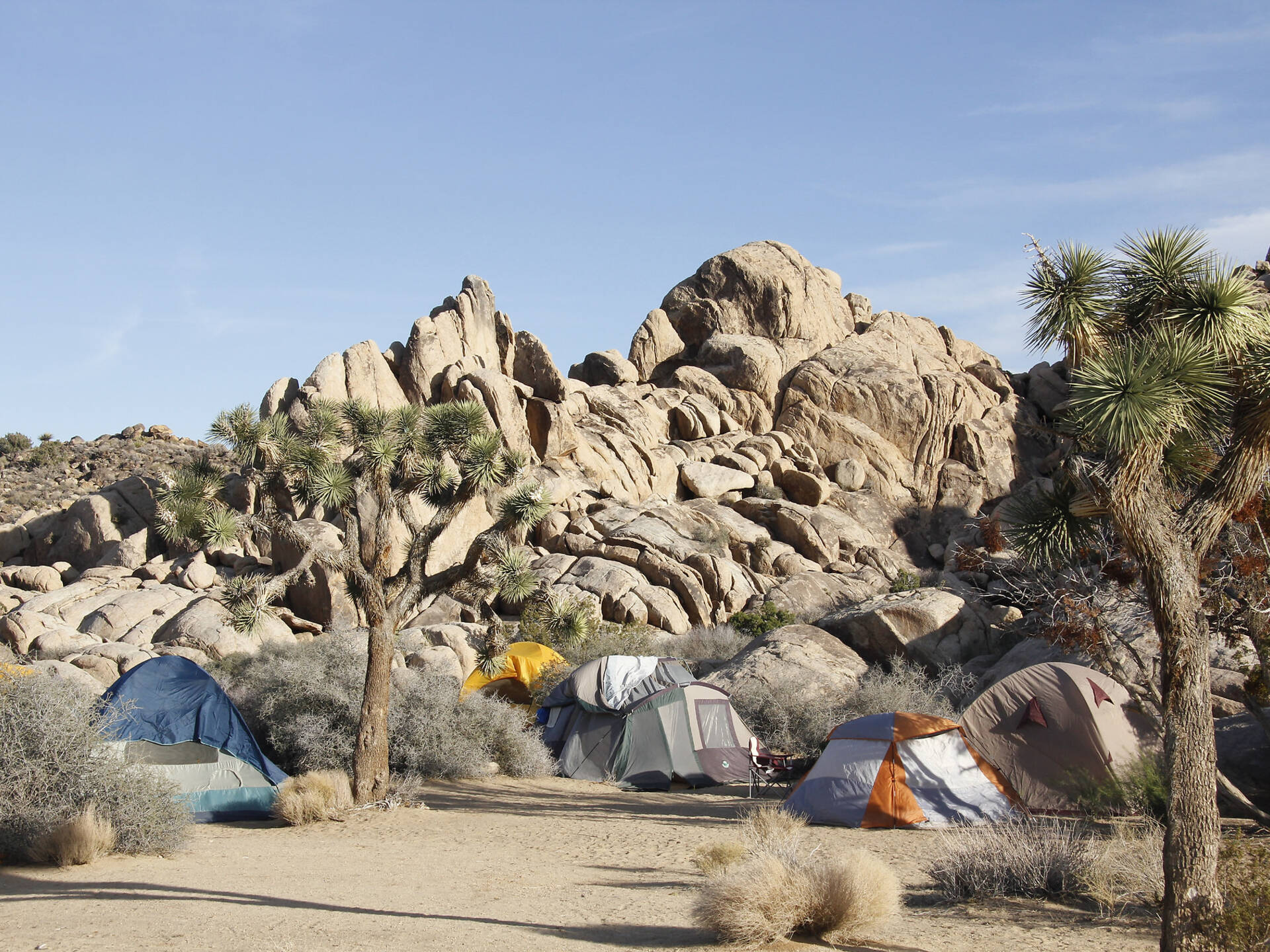 Joshua Tree camping guide for desert adventurers