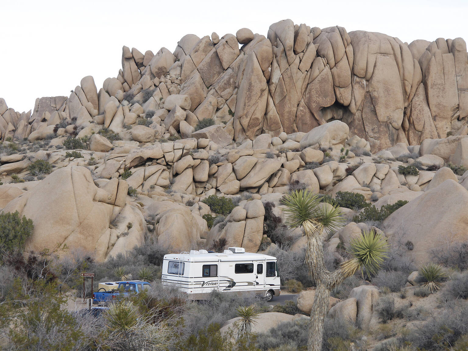 Joshua Tree camping guide for desert adventurers