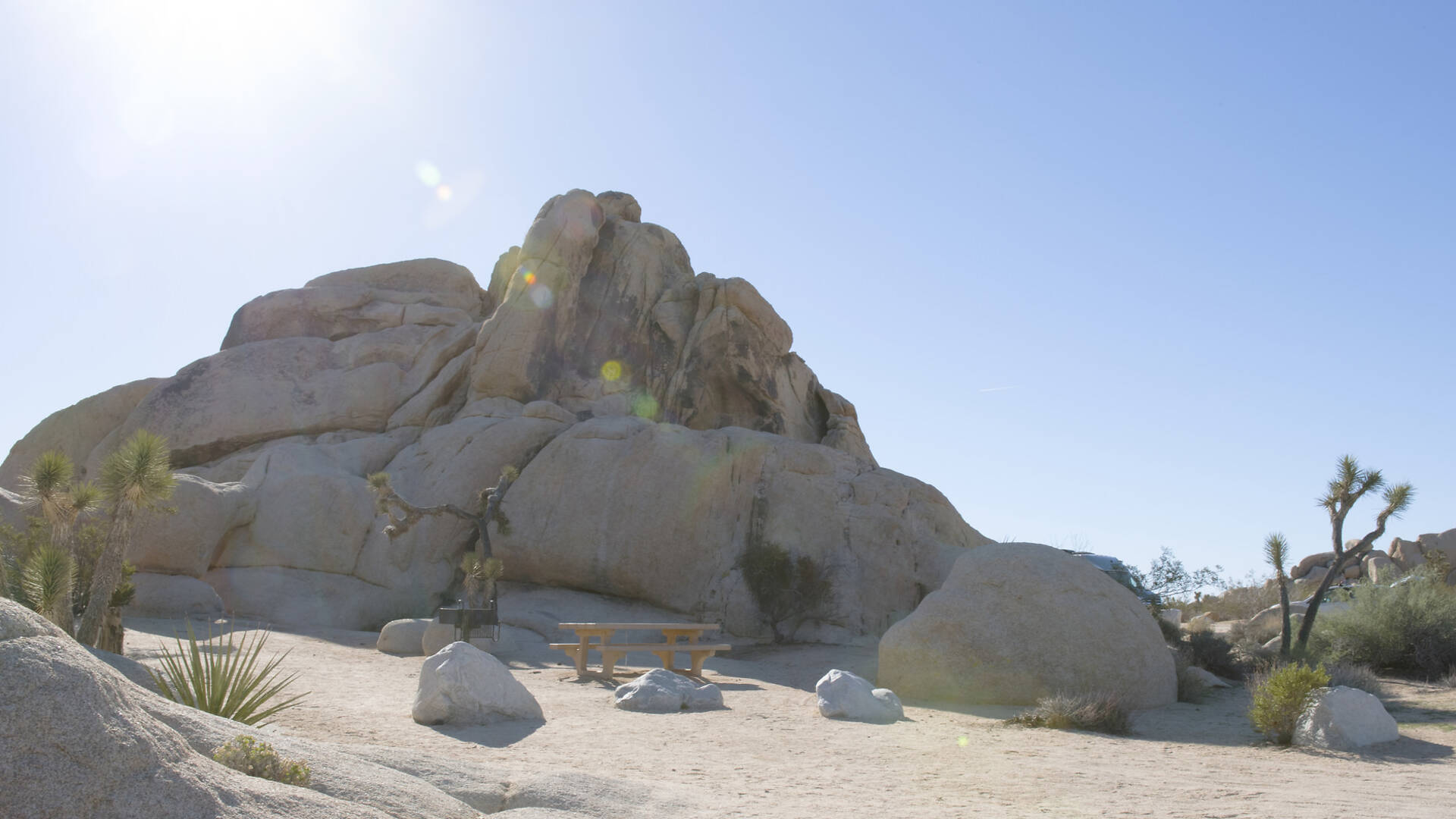 Joshua Tree camping guide for desert adventurers