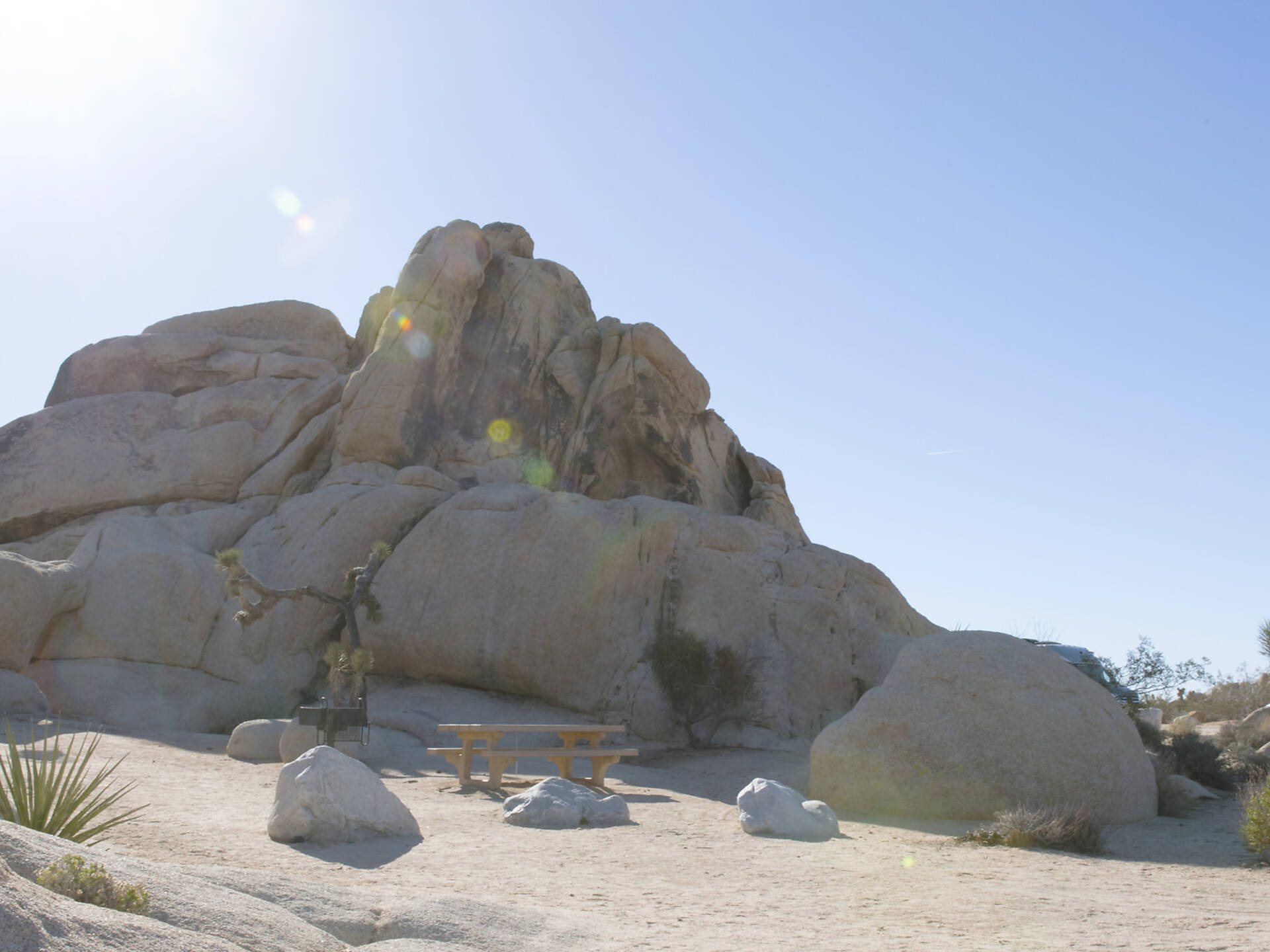 Joshua Tree camping guide for desert adventurers