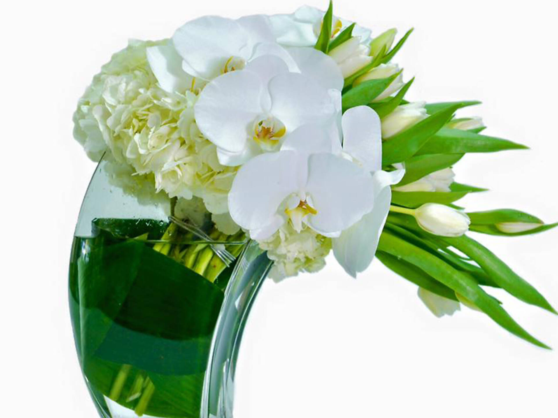 14 Flower Shops in Miami For Bouquets, Florist Arrangements and Gifts