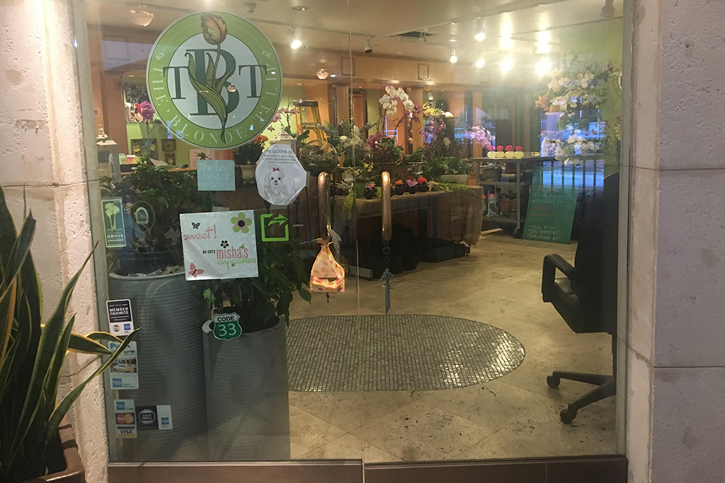 The Blonde Tulip | Shopping in Coconut Grove, Miami