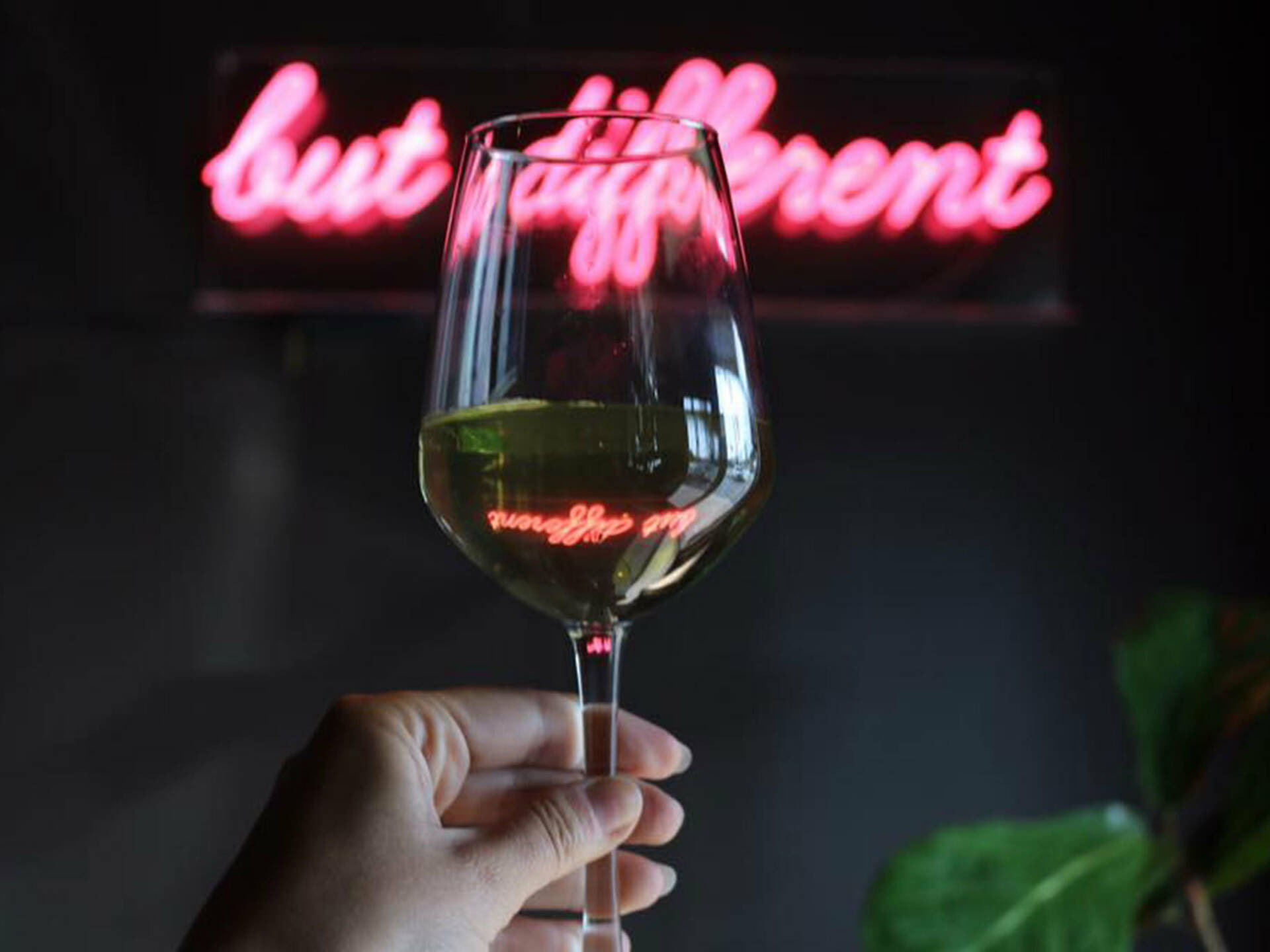 24 Best Restaurants in Silver Lake for Brunch, Lunch and Dinner