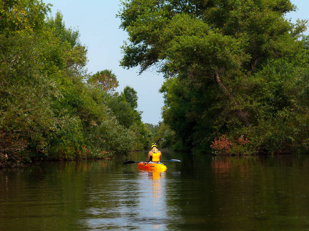 A guide to Frogtown restaurants, coffee shops and things to do