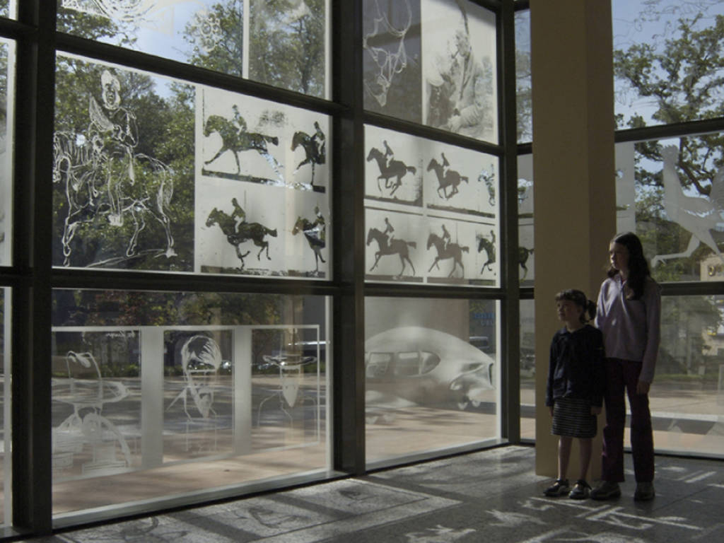 10 Best Museums in Austin To Visit Right Now