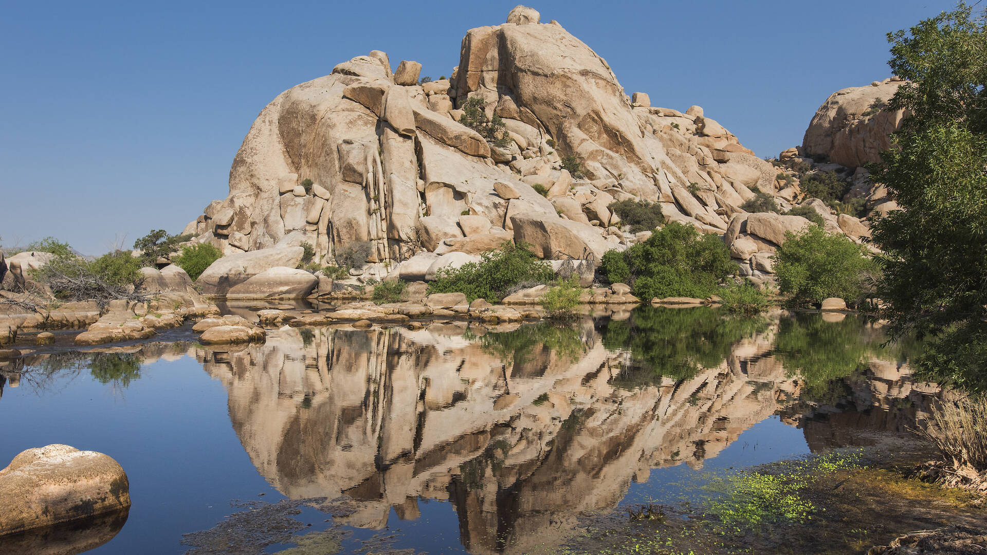 Best Things to Do in Joshua Tree for an Action-Packed Visit