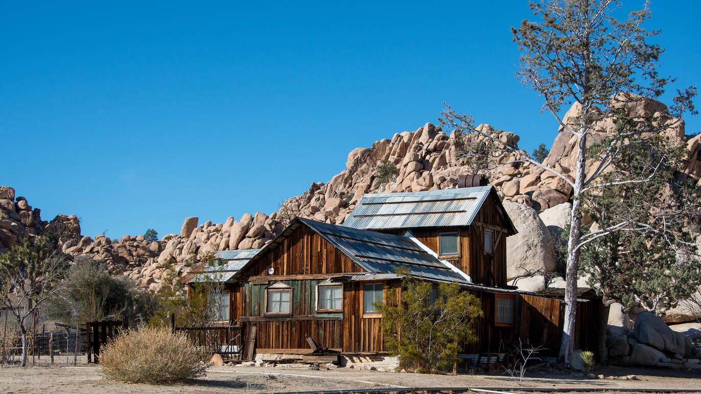 Best Things to Do in Joshua Tree for an Action-Packed Visit