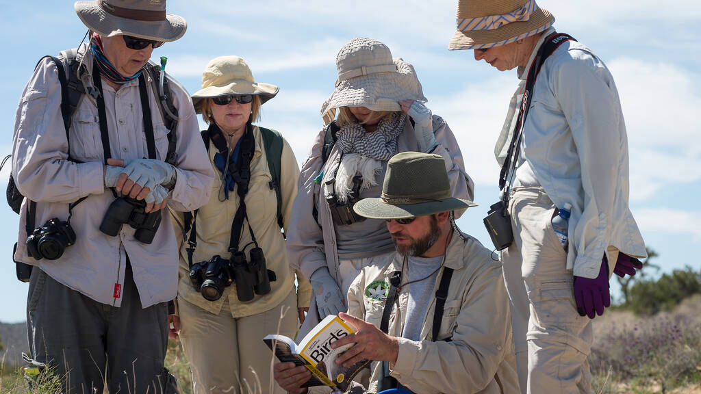 Best Things to Do in Joshua Tree for an Action-Packed Visit