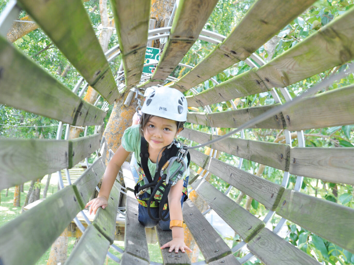 10 Best Kid-Friendly High-Element Obstacle Courses In Singapore