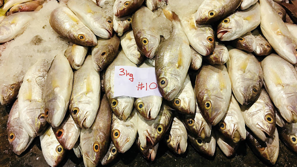 City stories: Jurong Fishery Port