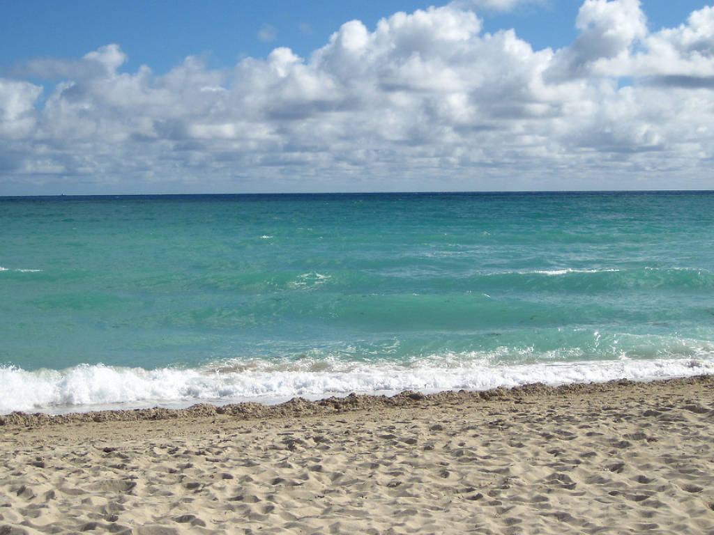 15 Best Miami Beaches For Every Type of Sunbather