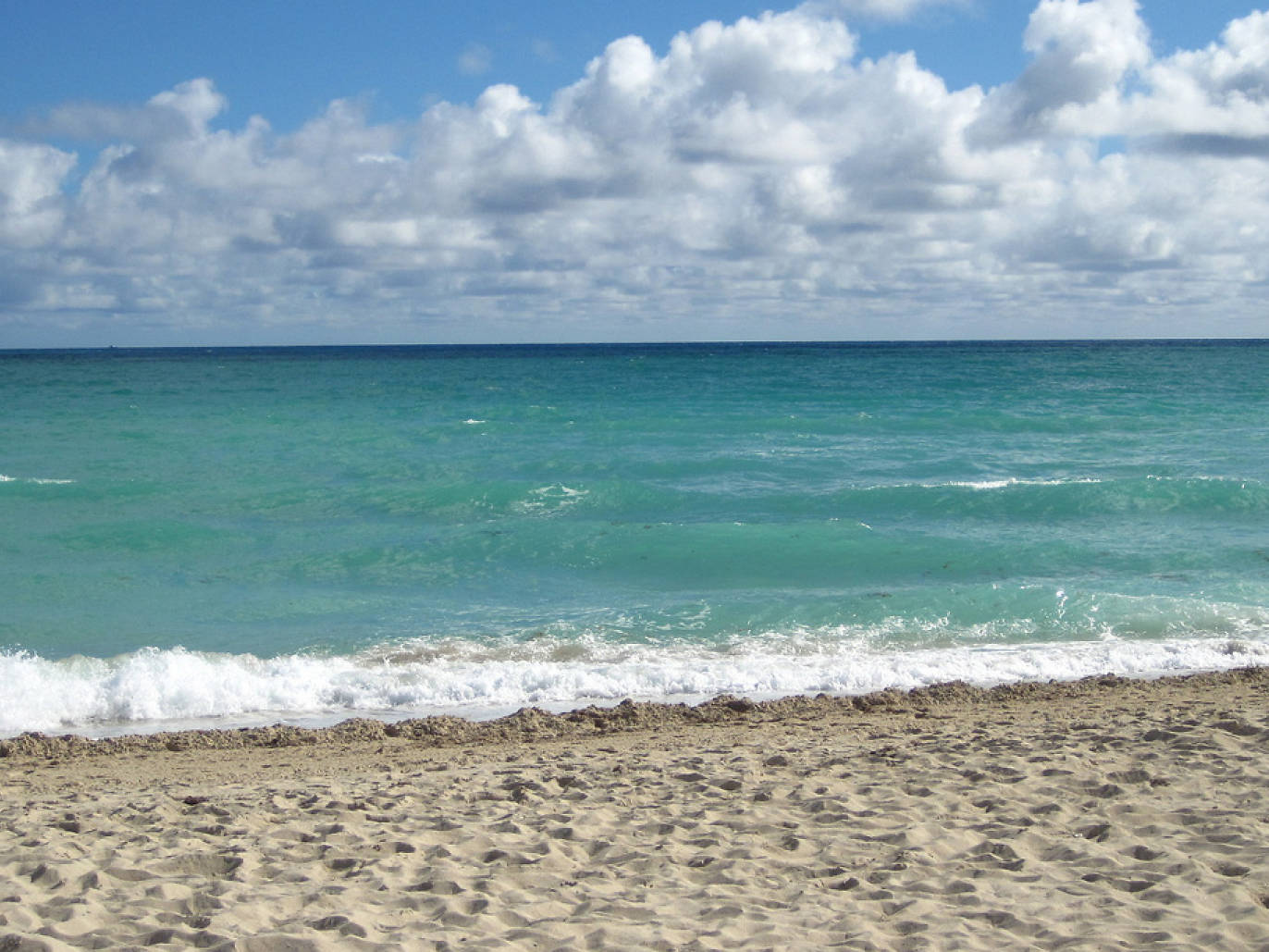 15 Best Miami Beaches For Every Type of Sunbather