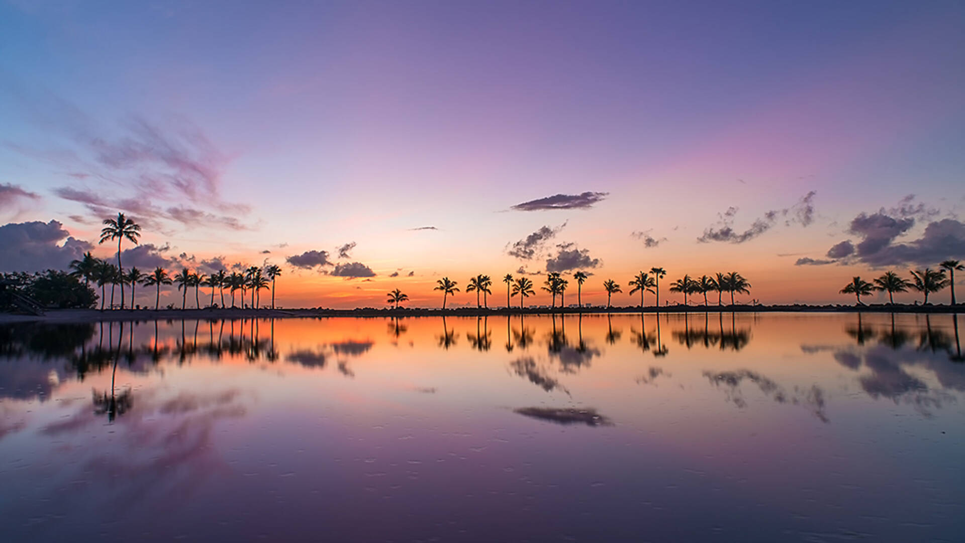 17 Best Parks in Miami for Fresh Air and Outdoor Fun