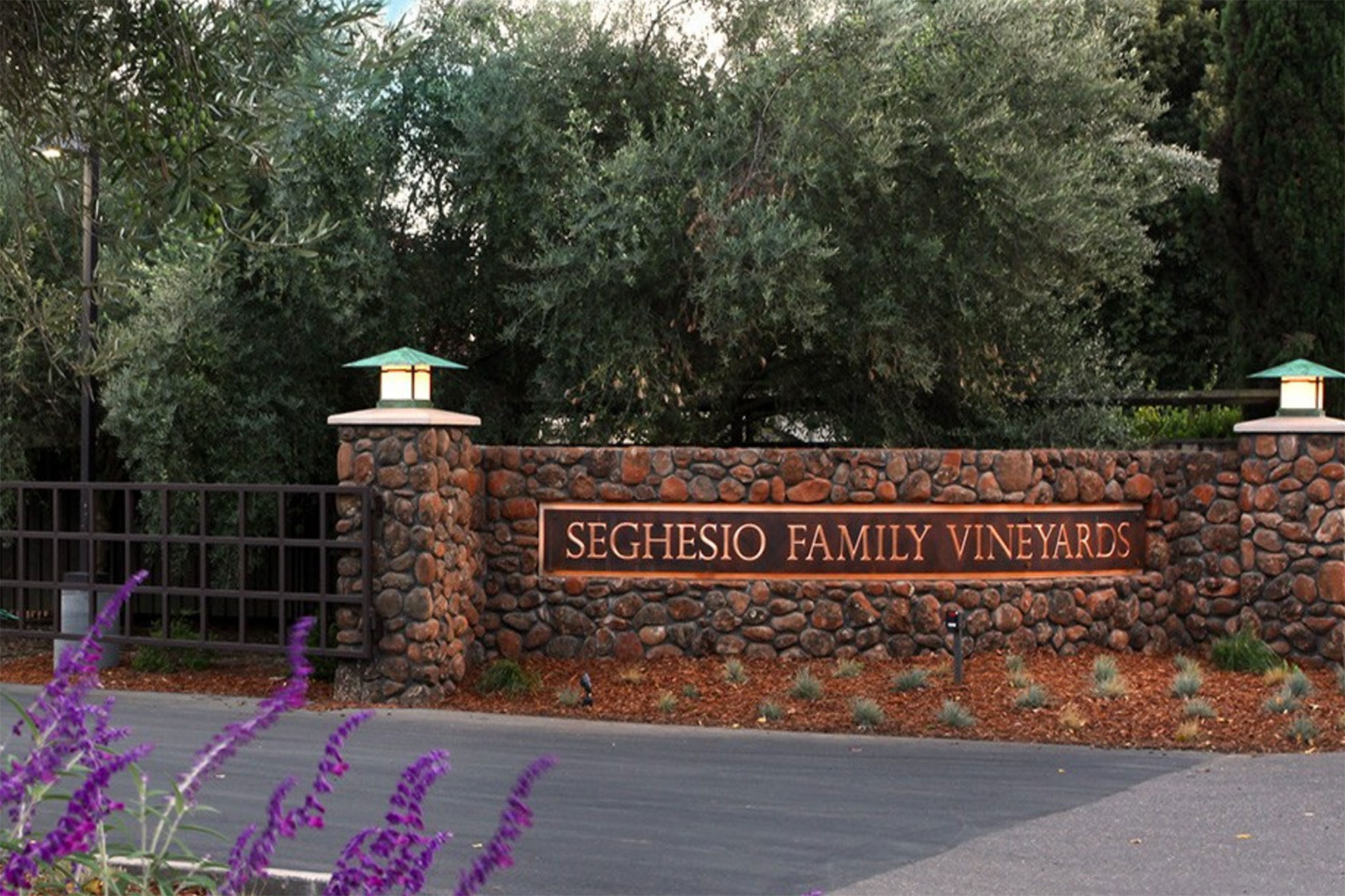 Seghesio Family Vineyards | Bars in Healdsburg, San Francisco