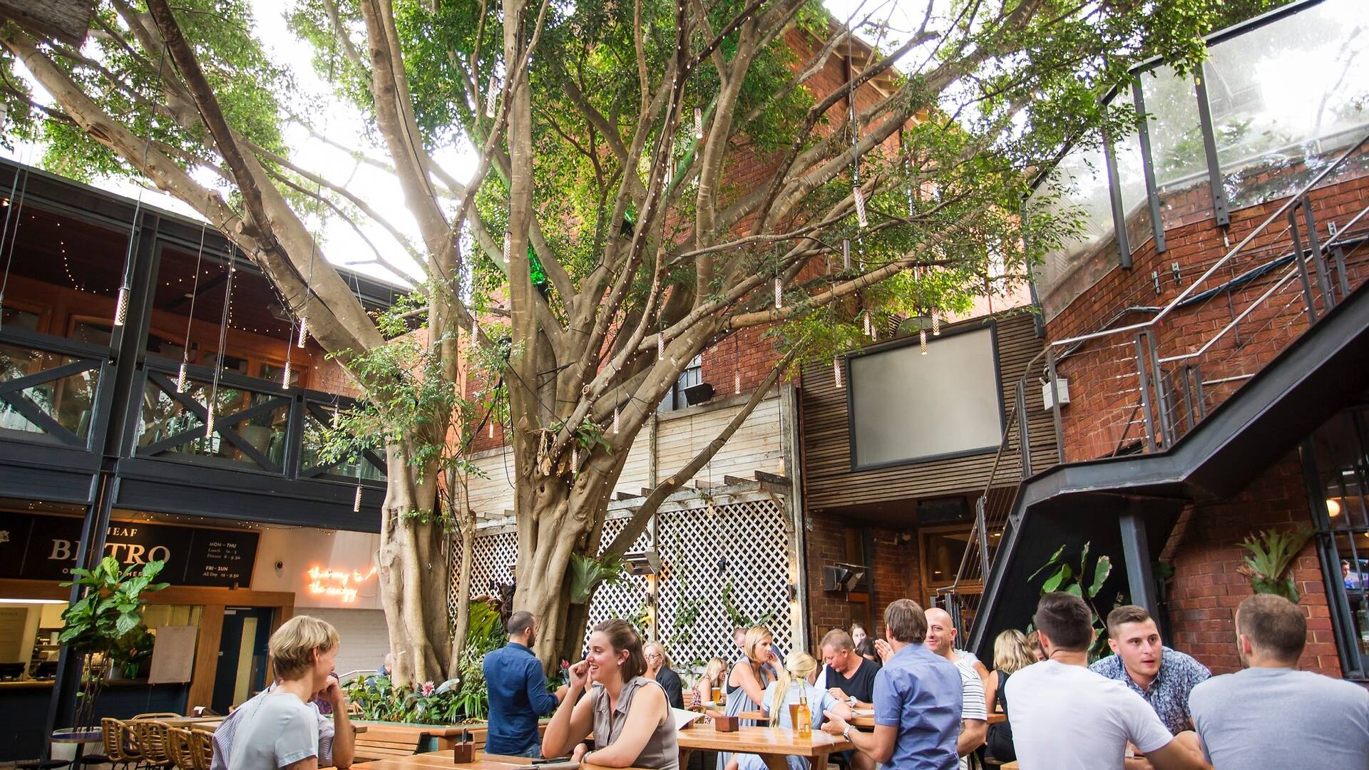 The Golden Sheaf | Bars in Double Bay, Sydney