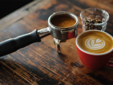 The Ultimate Guide To MacRitchie Reservoir