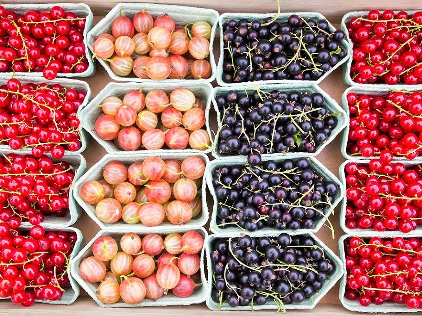 Go to a Mexican grocery store in NYC for tortillas, tacos and soup