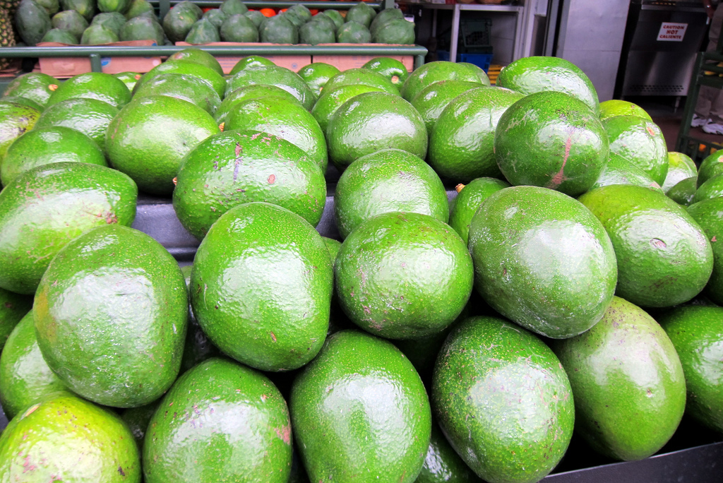 10 things you’ll miss when you leave Miami