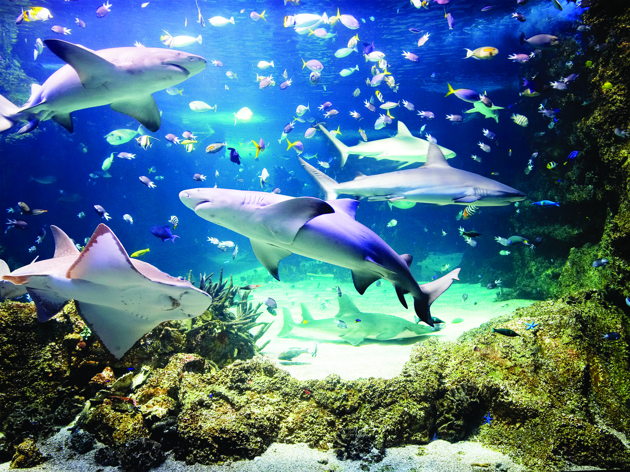 Guide to Darling Harbour