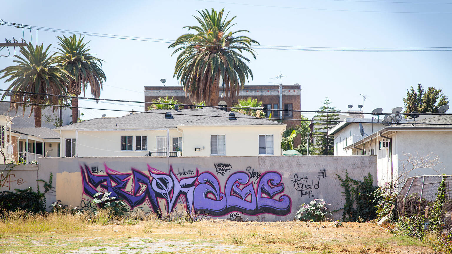 Best graffiti and street art that we've seen in Los Angeles