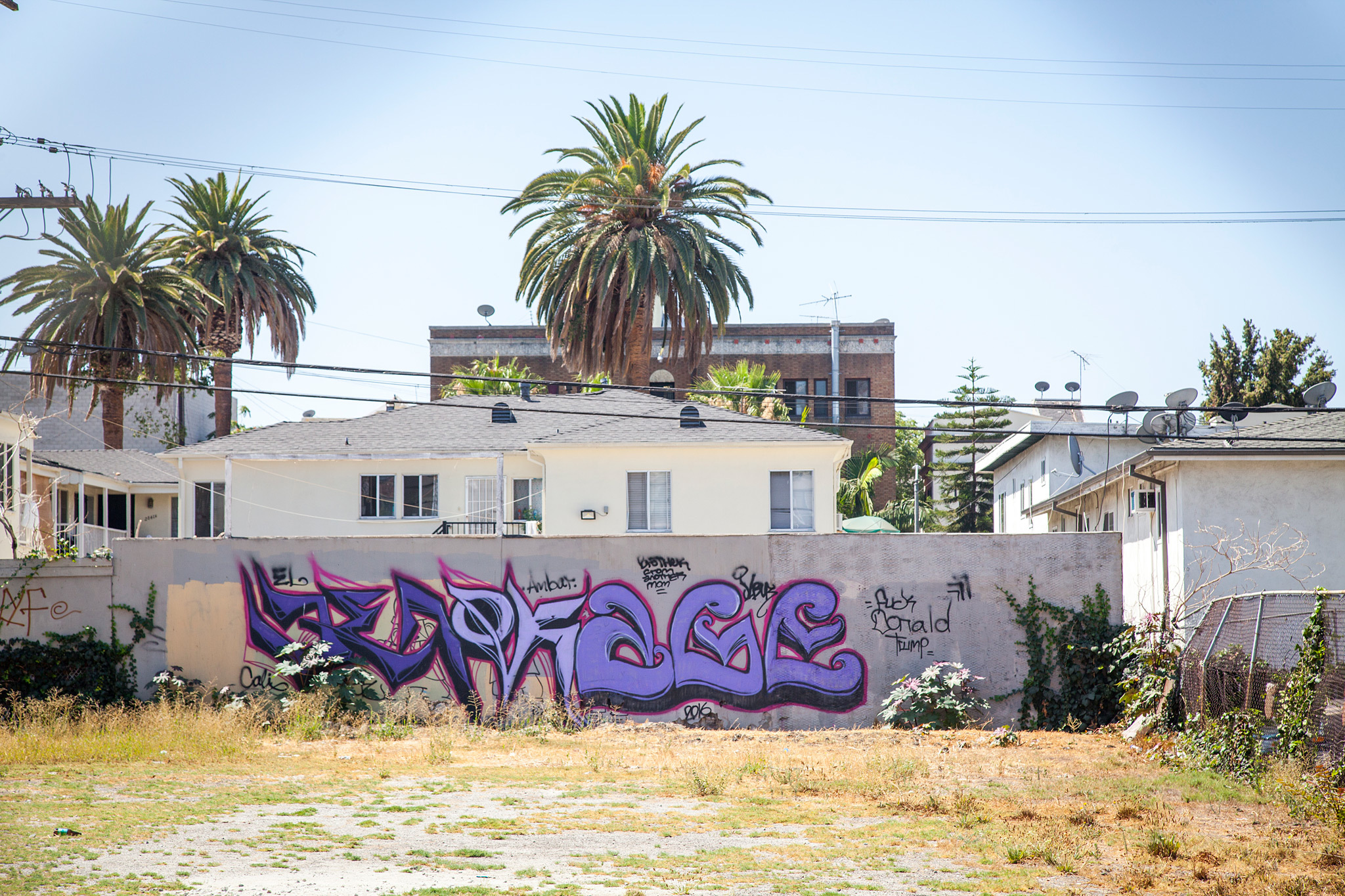 Best graffiti and street art that we've seen in Los Angeles