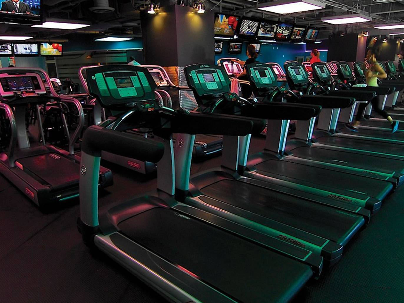 Best Gyms in Los Angeles for a Next-Level Workout