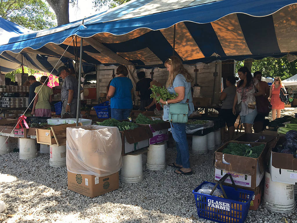13 Best Farmers' Markets in Miami for a Perfect Weekend Morning