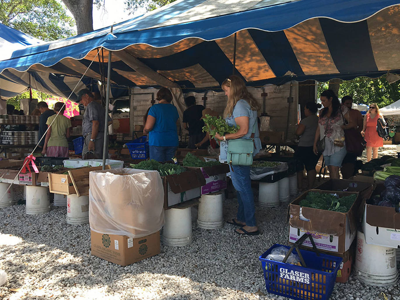 13 Best Farmers' Markets in Miami for a Perfect Weekend Morning