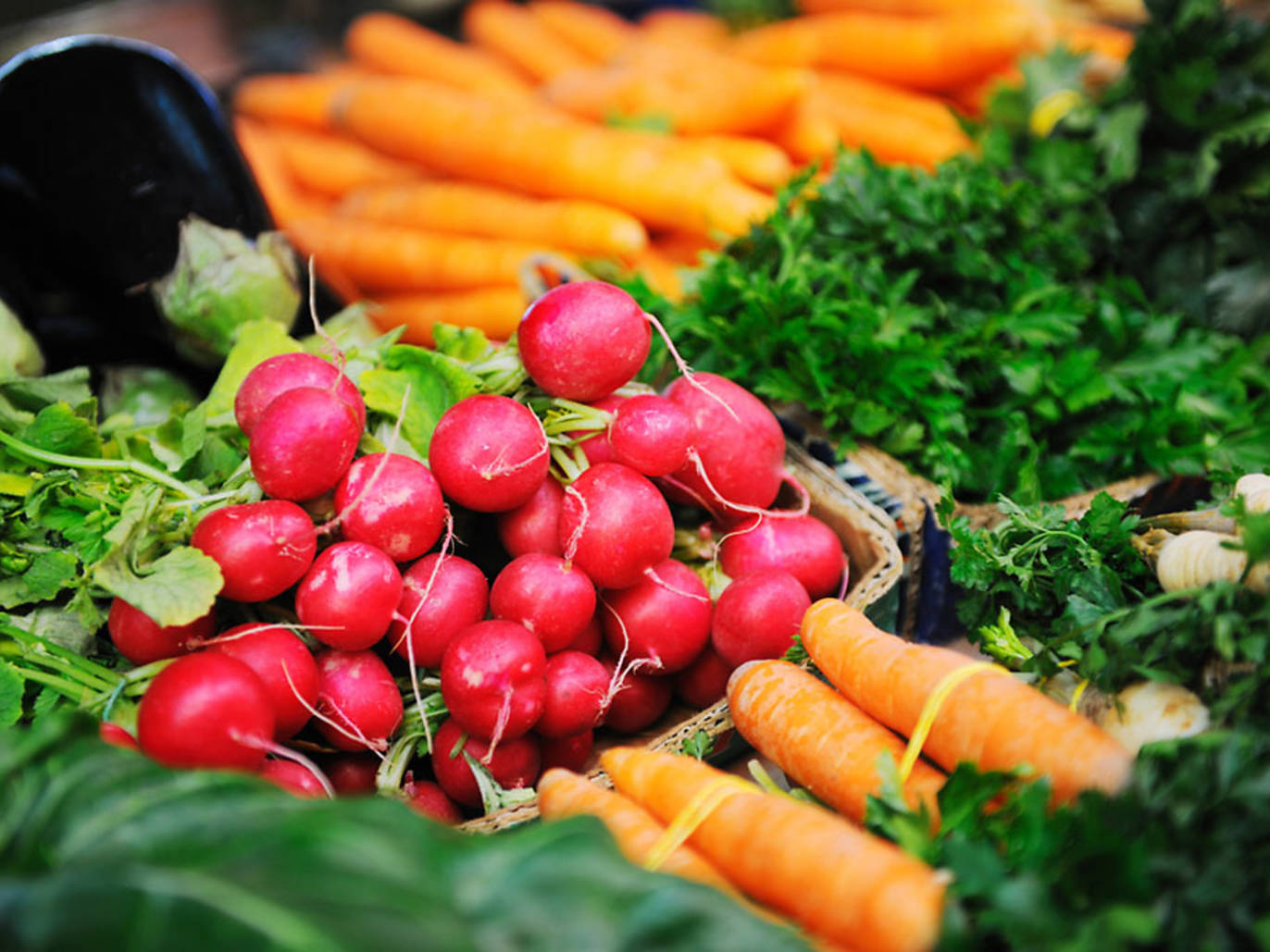 12 Best Farmers' Markets in Miami to Kick Off Your Perfect Day