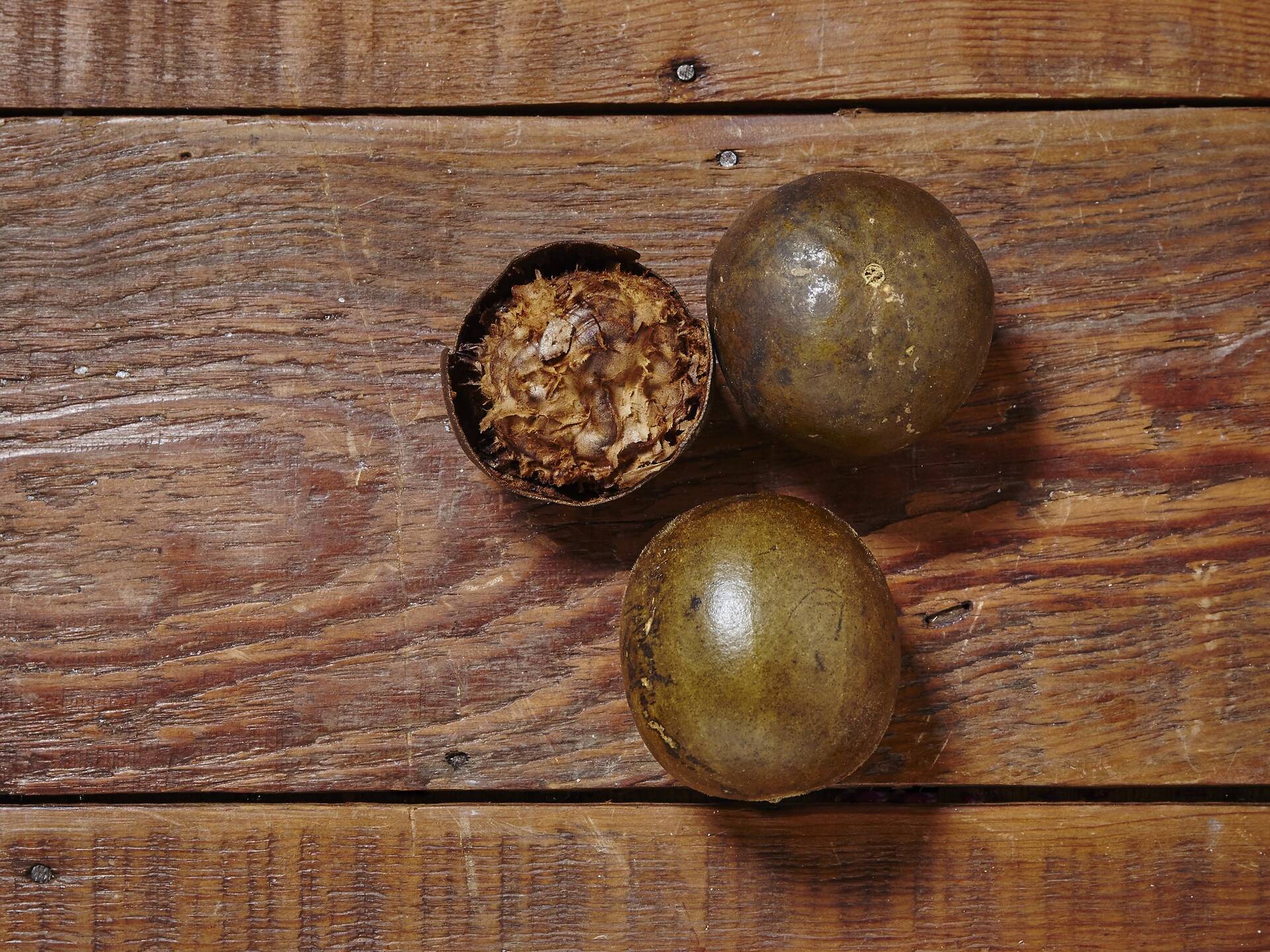 Guide to traditional Chinese herbs