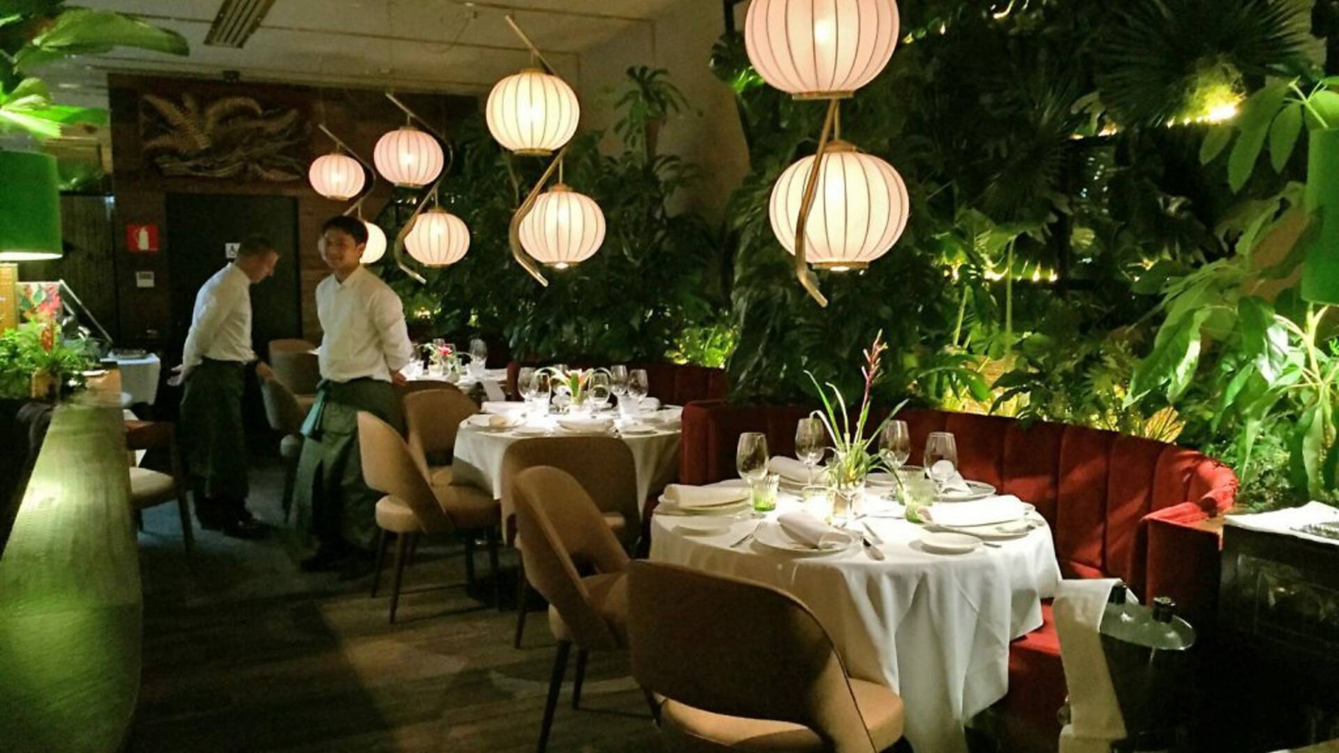Amazónico, un restaurante de toques selváticos y cocina internacional