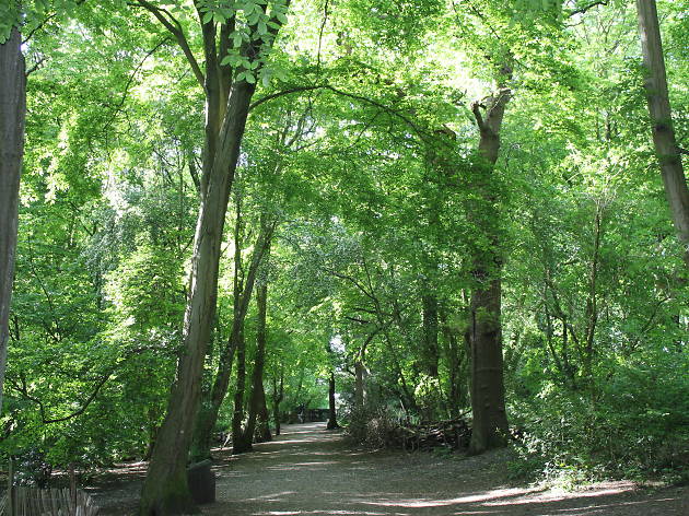 Highgate Woods Community Day | Things to do in London