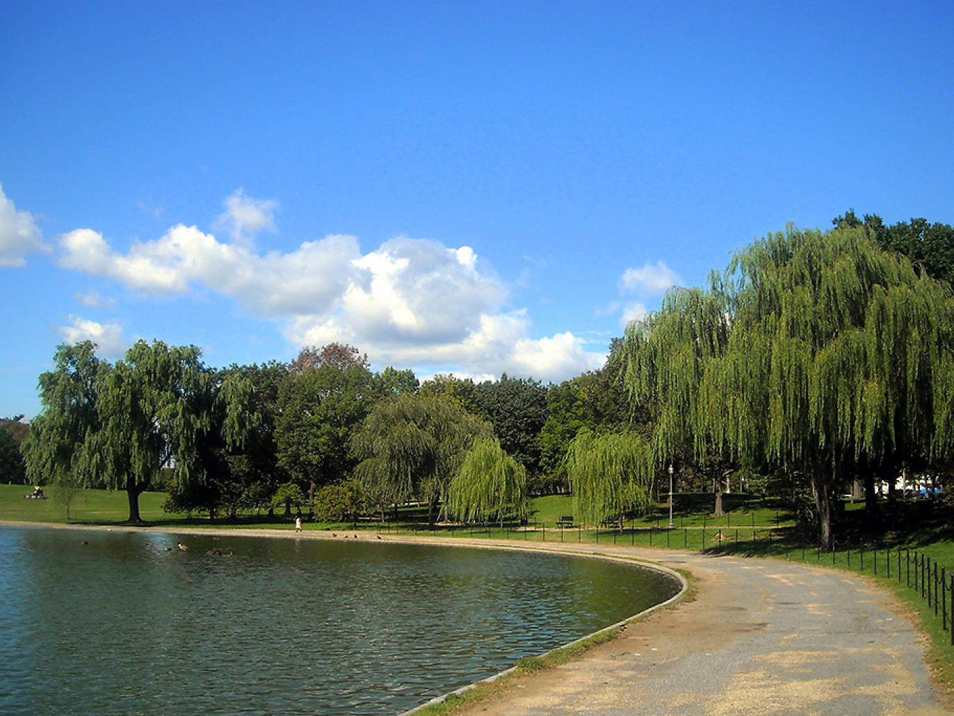 Washington, DC parks with green spaces to picnic, relax and get sun