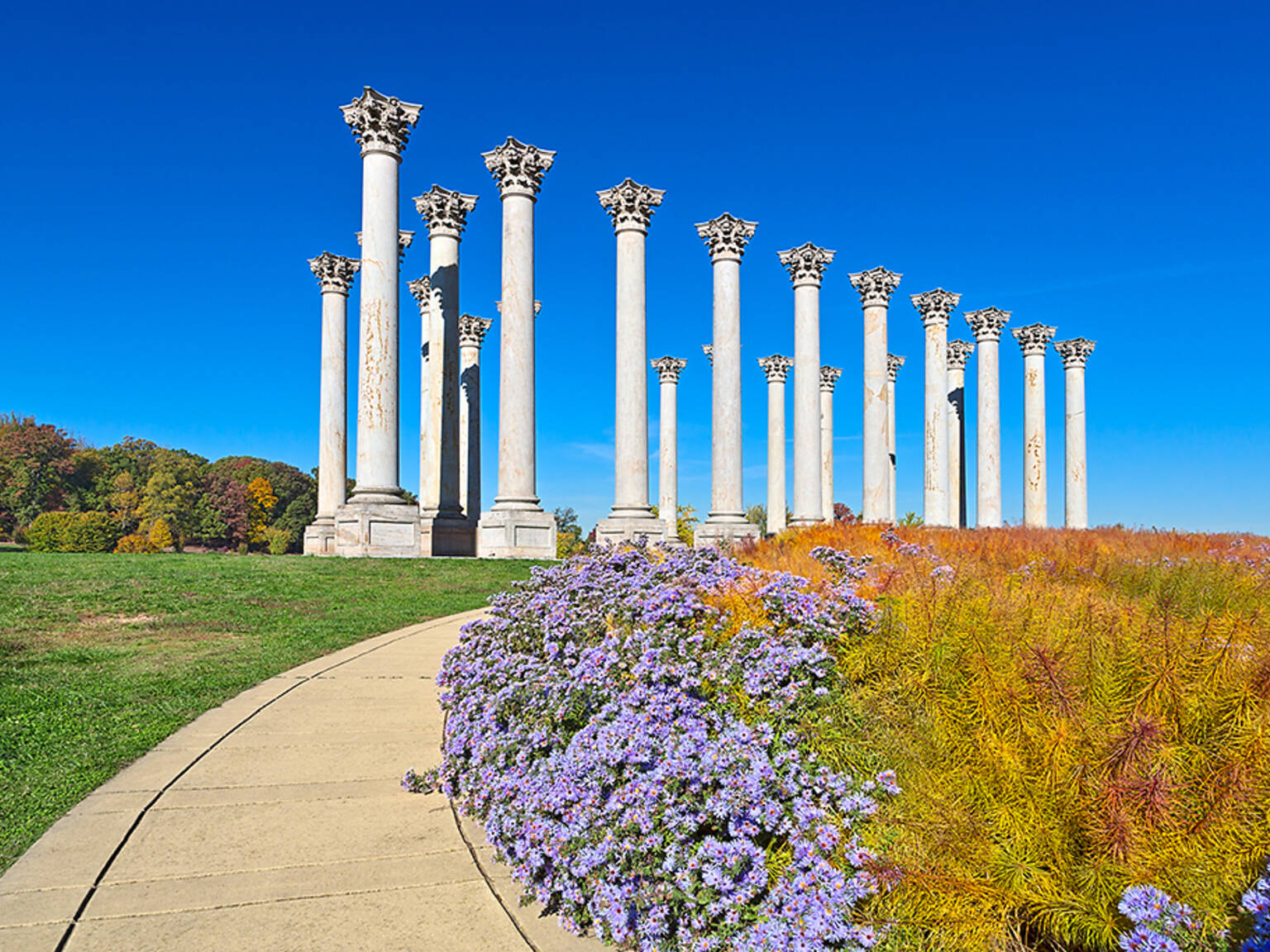 Washington, DC parks with green spaces to picnic, relax and get sun