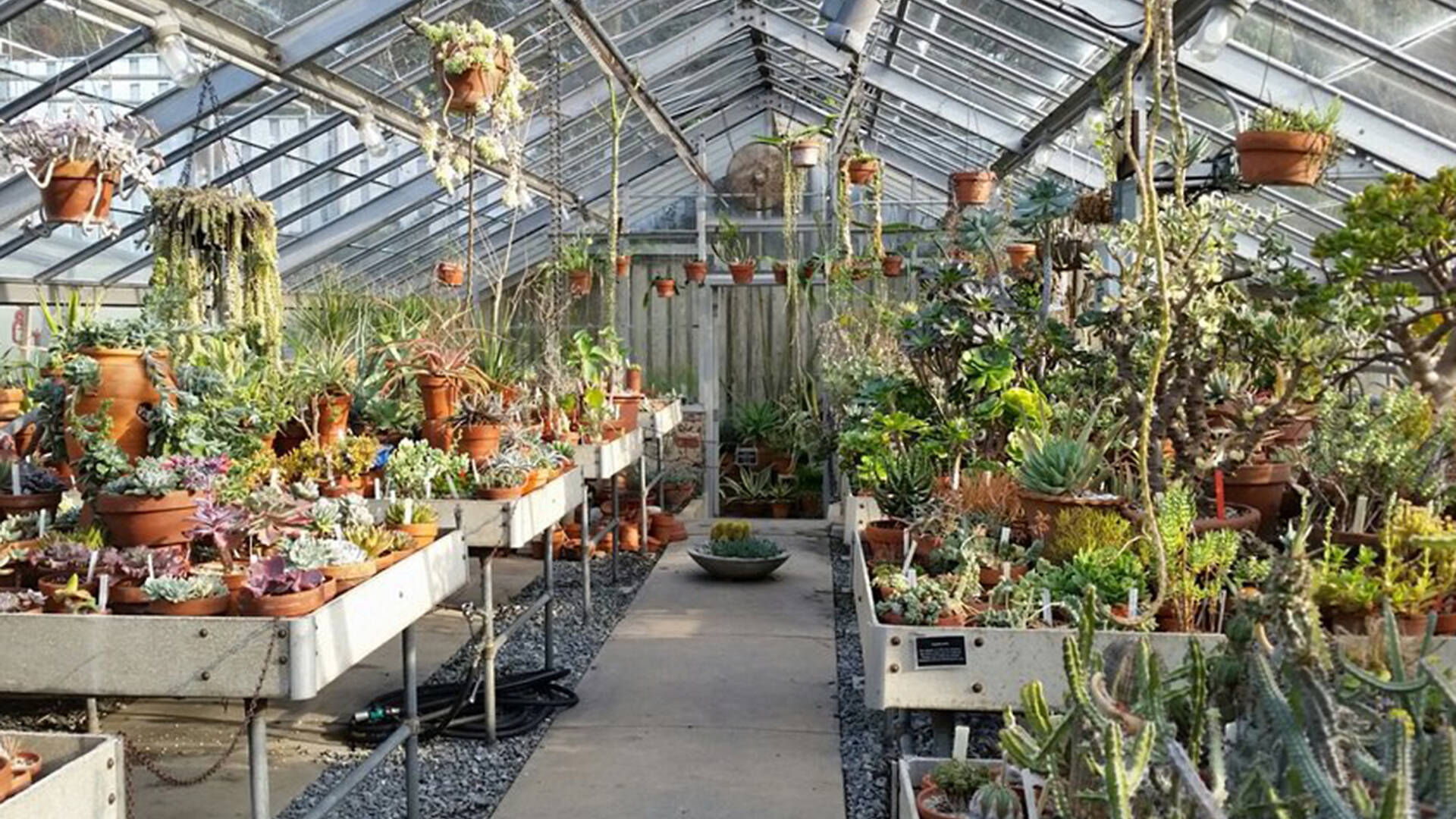 12 Awesome Things To Do In The Bronx Like Visiting The NYBG