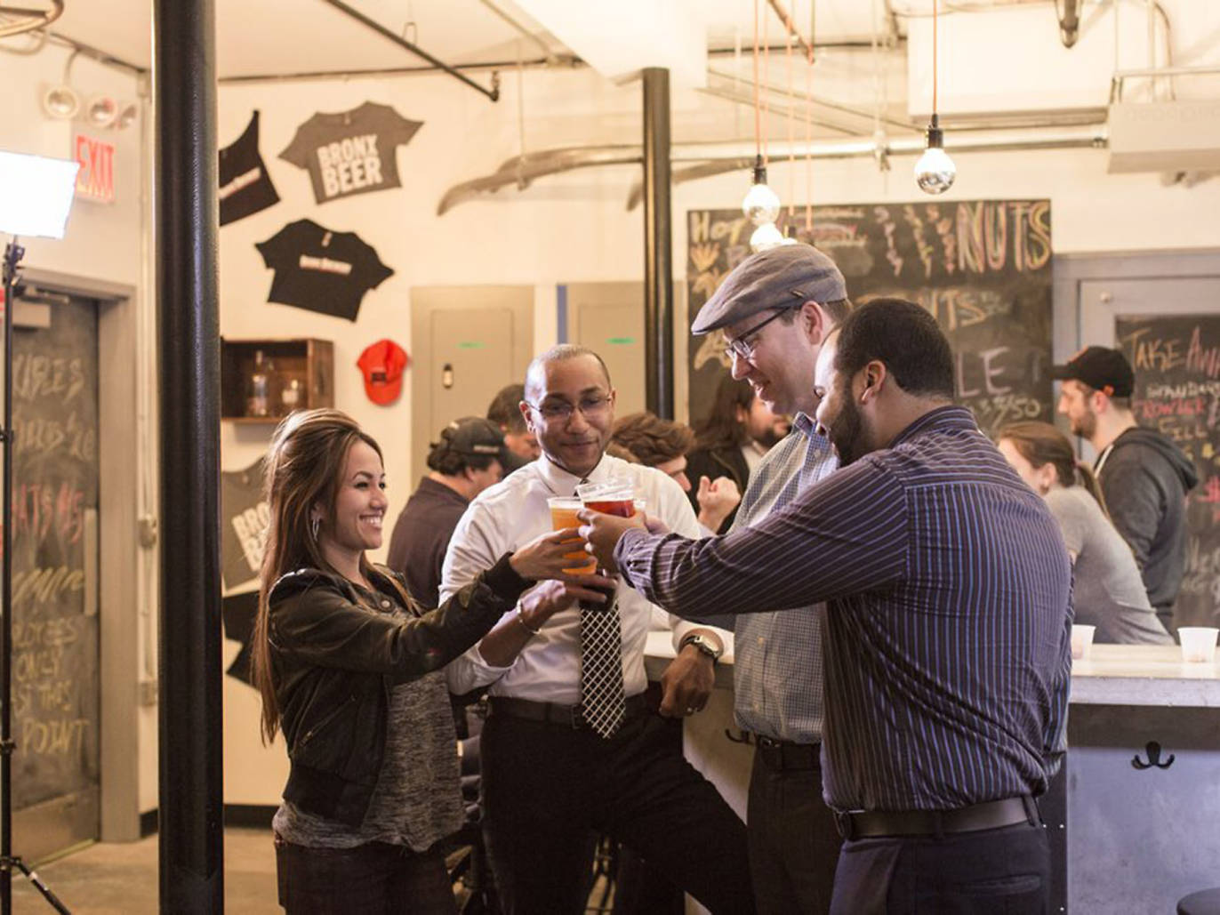 12 Awesome Things To Do In The Bronx Like Visiting The NYBG