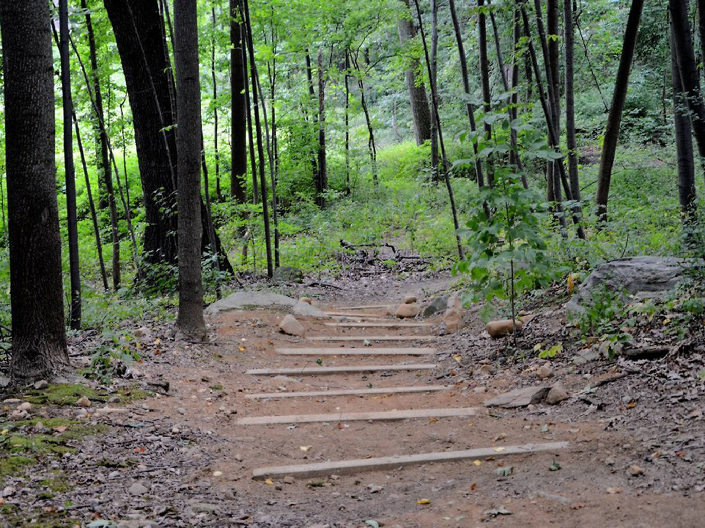 12 Awesome Things To Do In The Bronx Like Visiting The NYBG