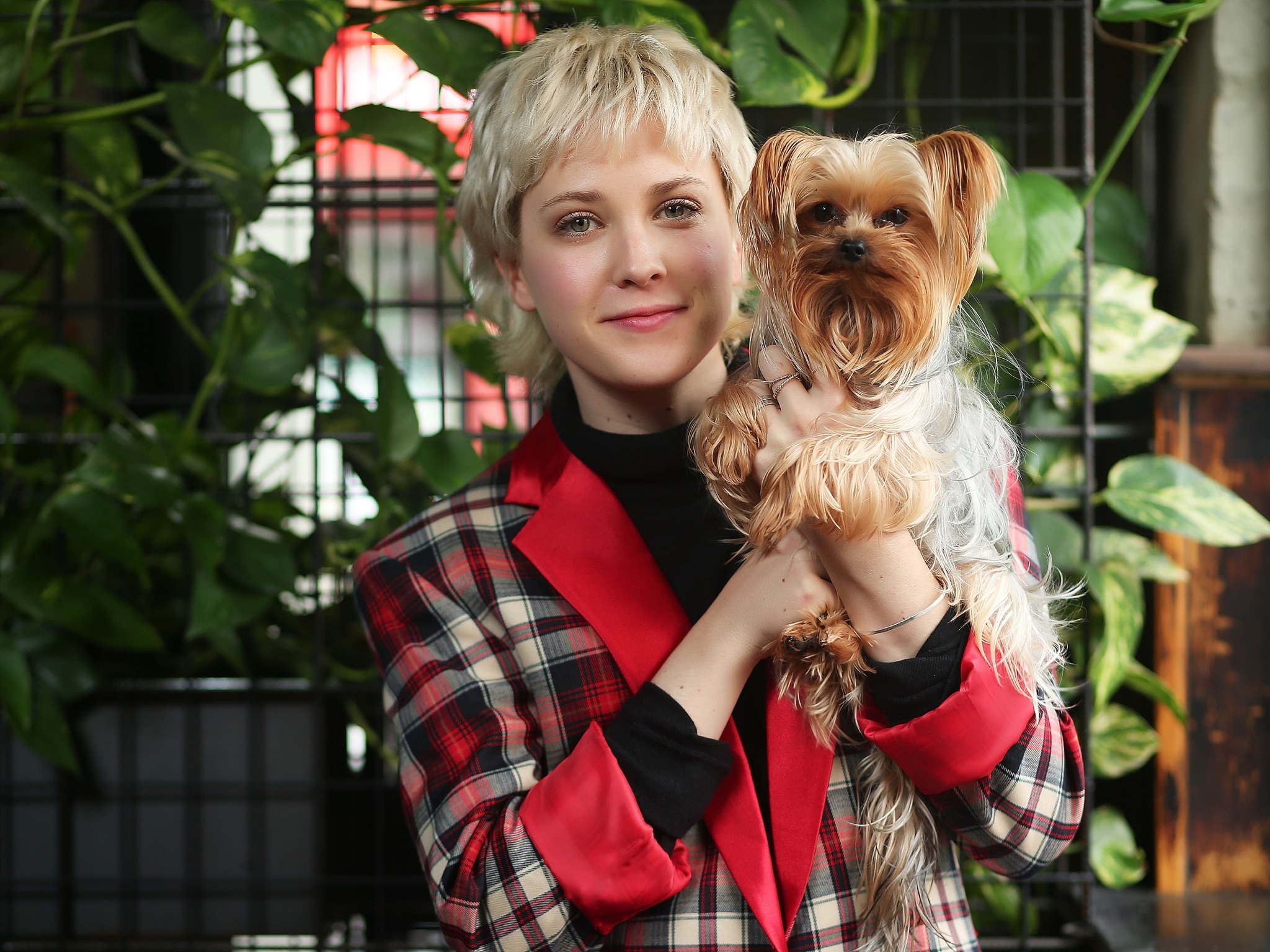 Scout: The Secret Life of Pets