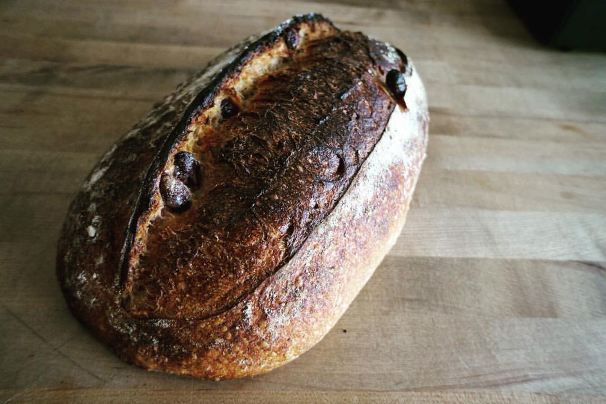 Lodge Bread | Restaurants in Culver City, Los Angeles