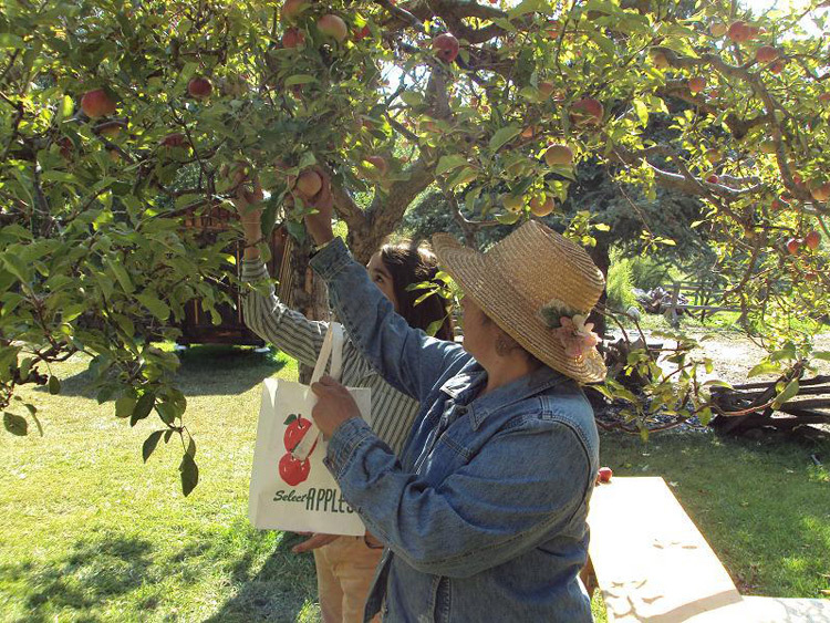 Riley's Apple Farm | Attractions in Oak Glen, Los Angeles