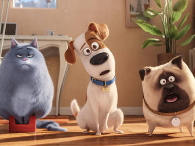 50 Best Animated Movies for Kids, From “Ratatouille” to “Minons”