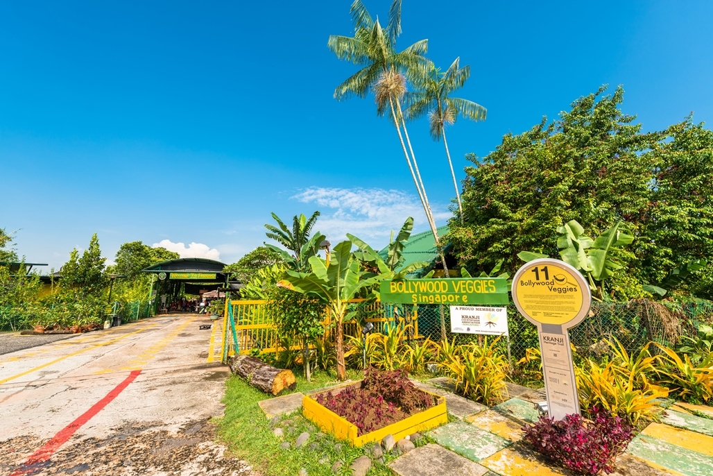 9 Best Farms in Singapore To Visit