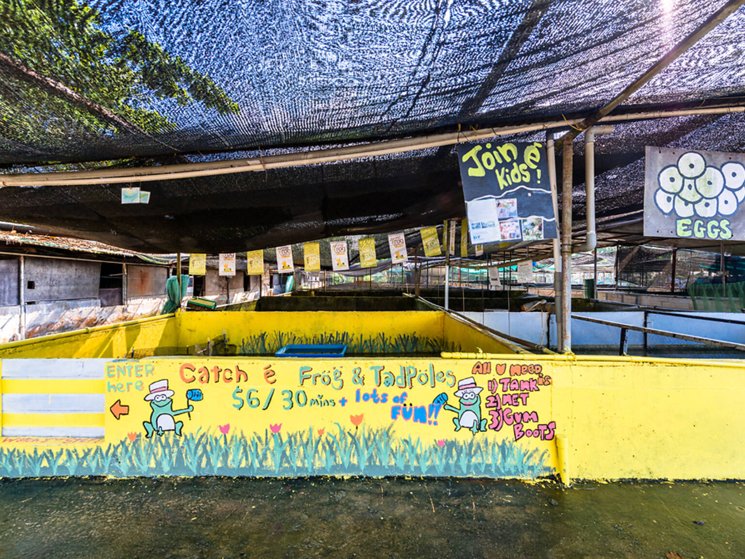 10 Best Farms in Singapore To Visit