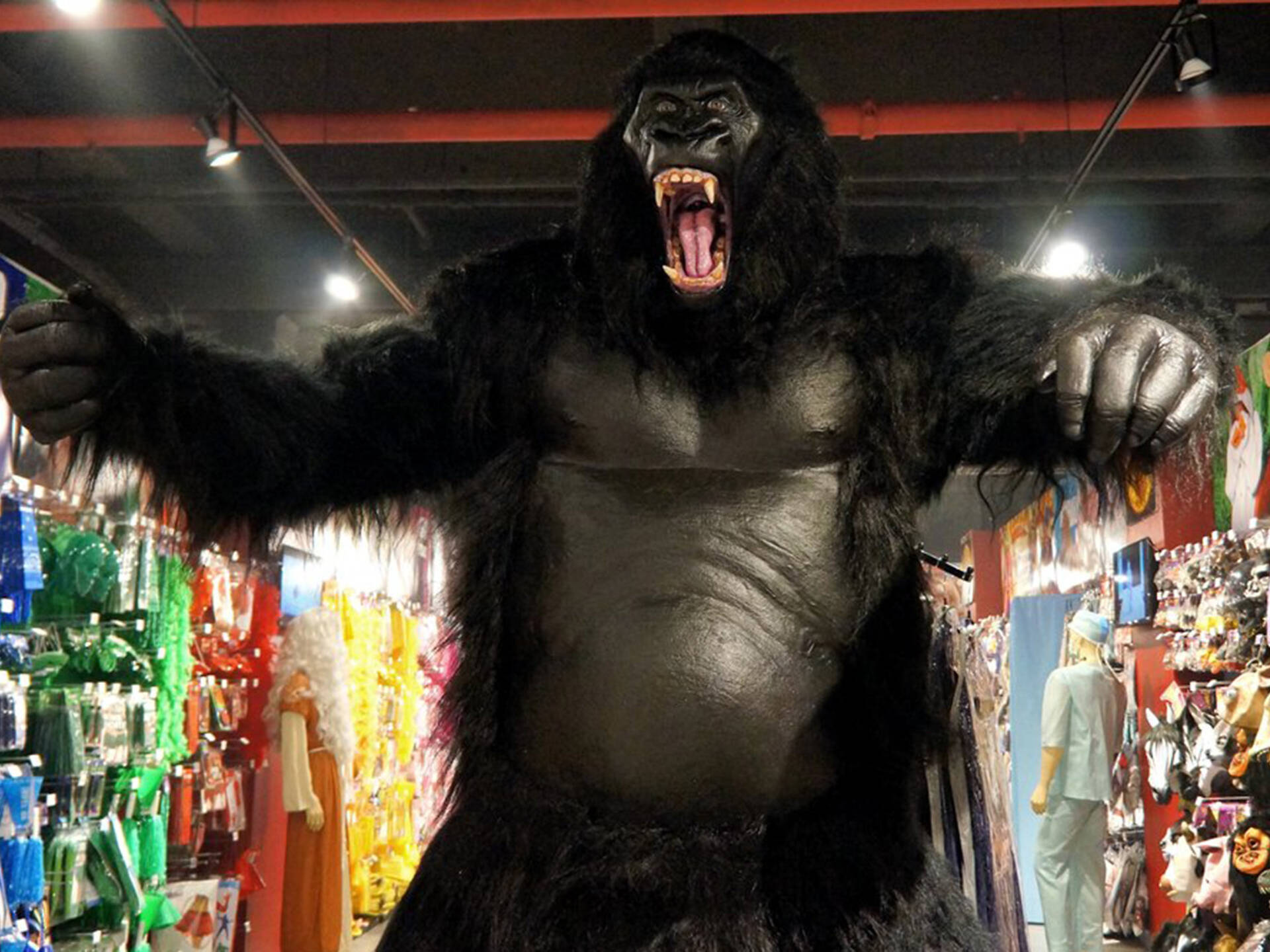 Best Halloween costume rental stores in New York City