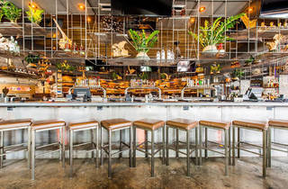 Tap 42 | Restaurants in Coral Gables, Miami