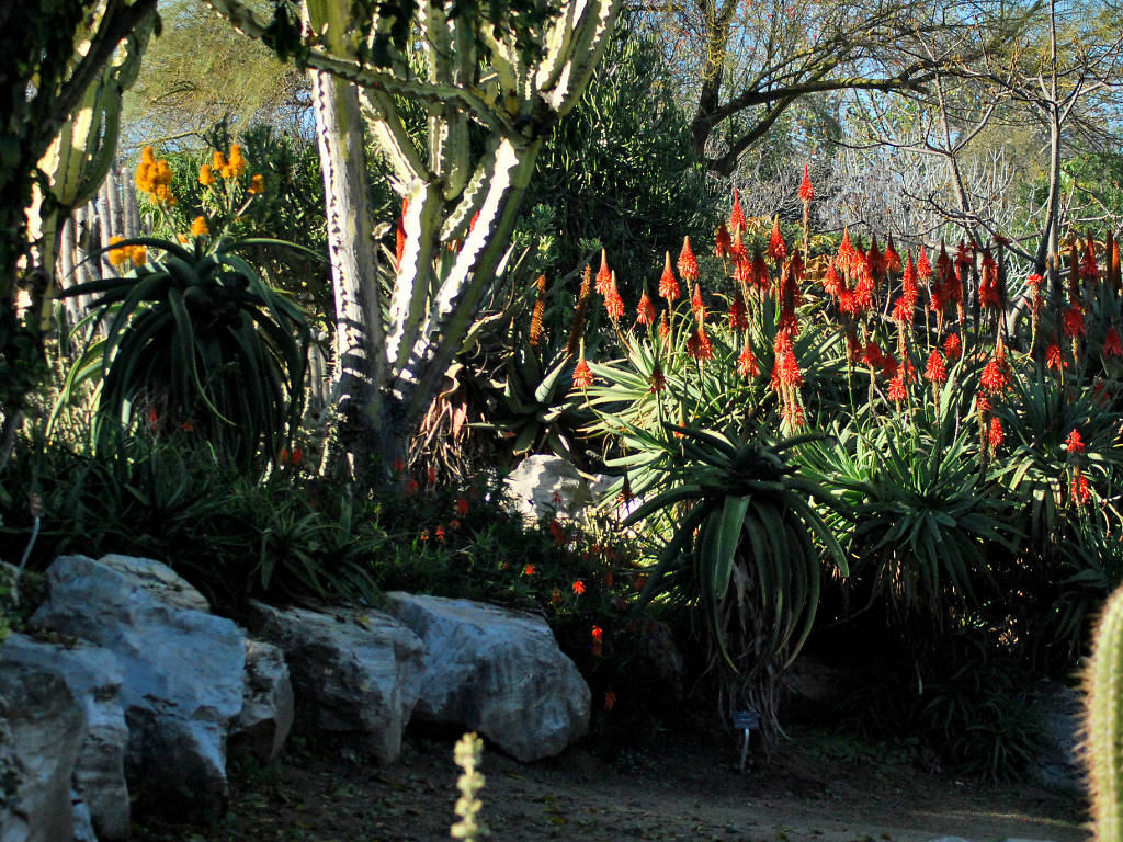 Fall Foliage in Los Angeles: Best Places to Spot Fall Colors